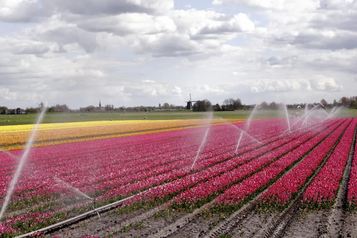 Home - Colland Arbeidsmarkt