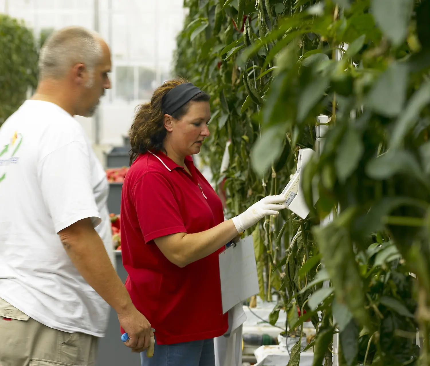 Subsidieregelingen - Colland Arbeidsmarkt