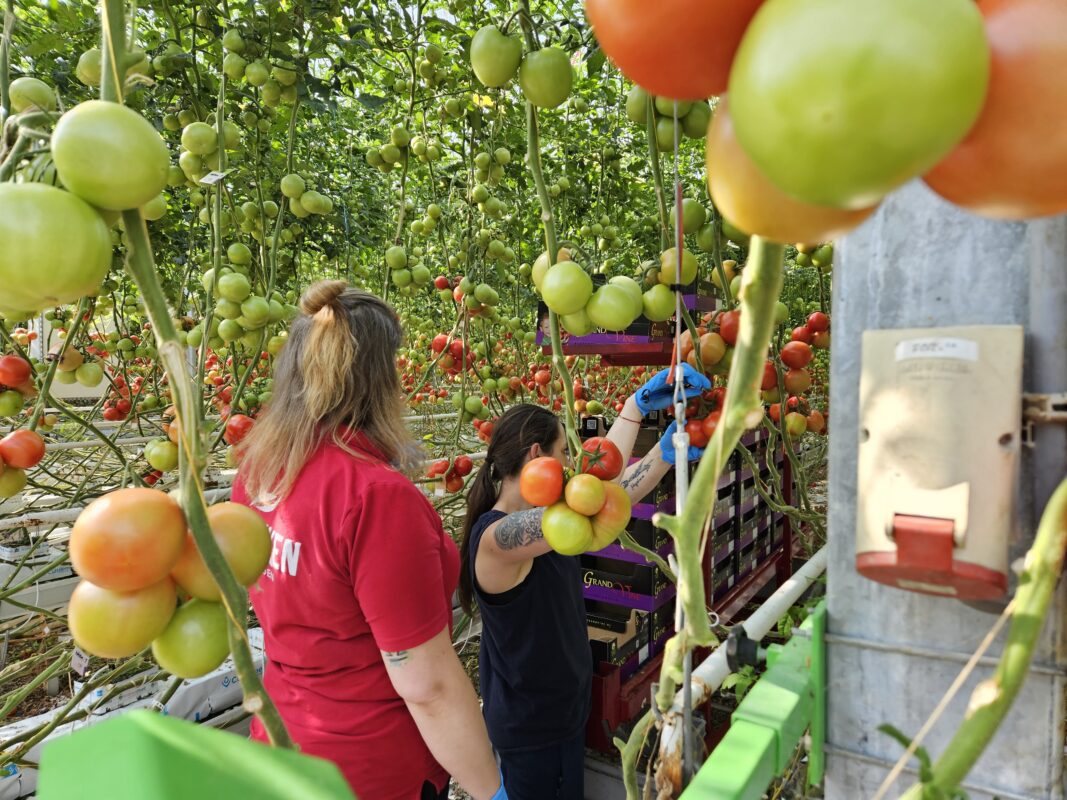Hoe de loopbaanvoucher leidt tot nieuw perspectief - Colland Arbeidsmarkt