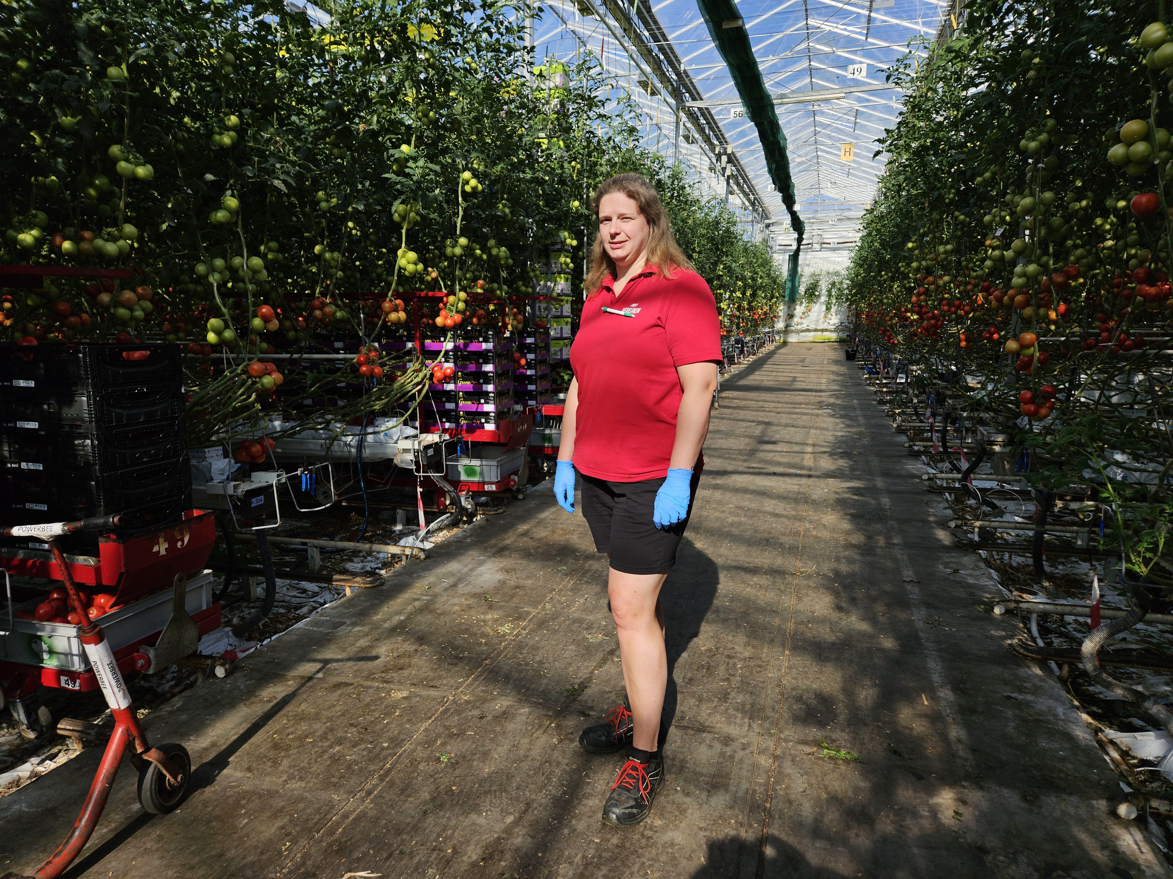 Hoe de loopbaanvoucher leidt tot nieuw perspectief - Colland Arbeidsmarkt